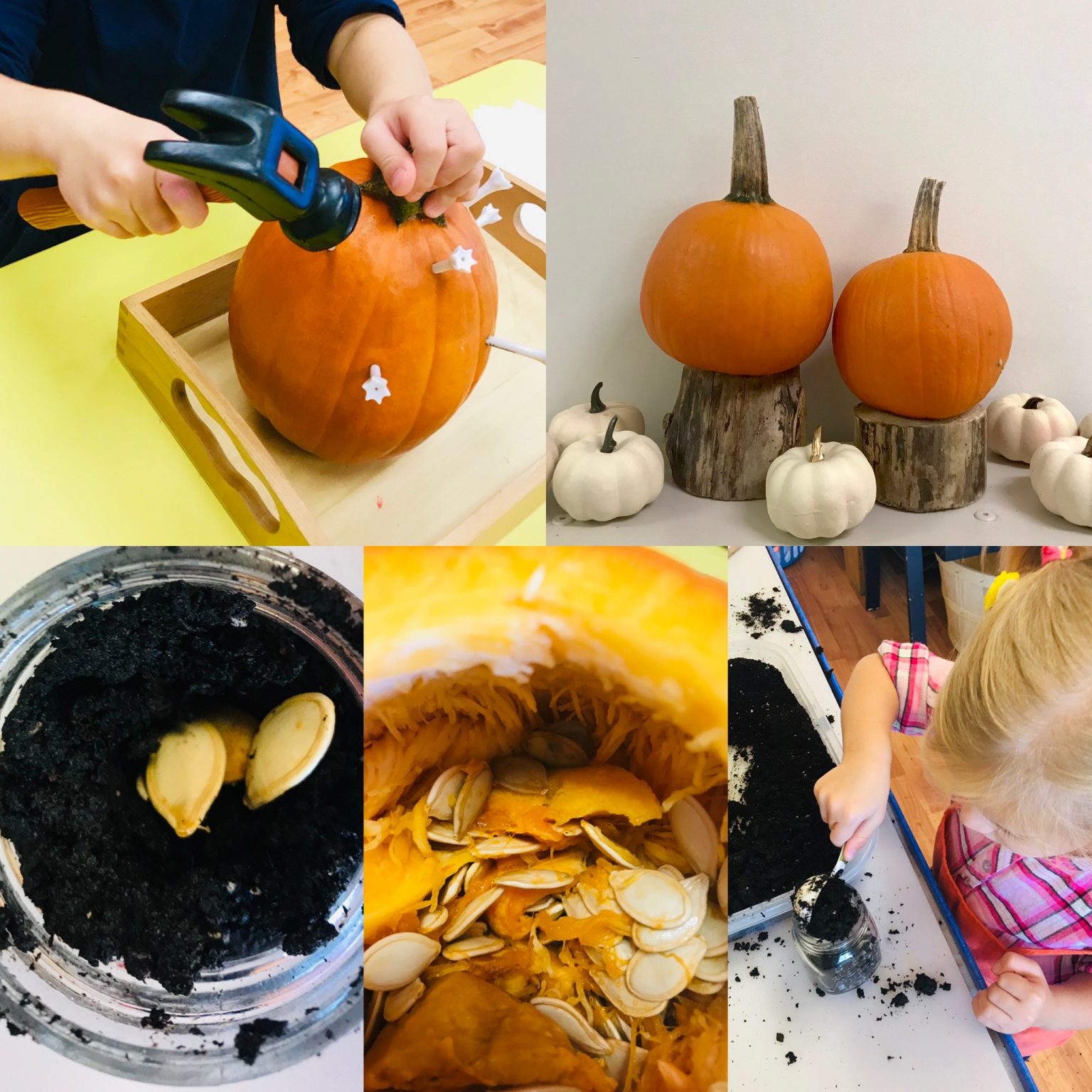Fall Sensory Play Ideas for Kids | Alpha Discovery Kids