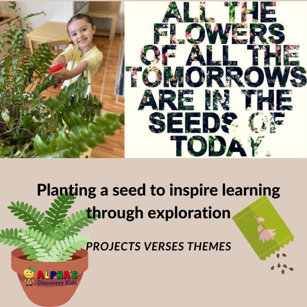 Planting a seed to inspire learning | Alpha Discovery Kids